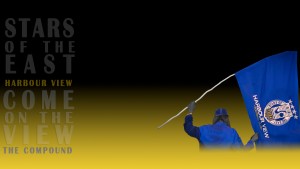 Home - Harbour View Football Club